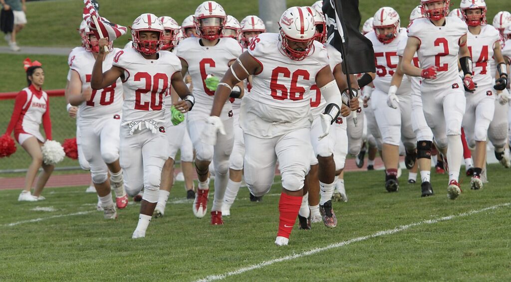 Perfect start has propelled soaring Hamburg Hawks to new heights - Mike ...