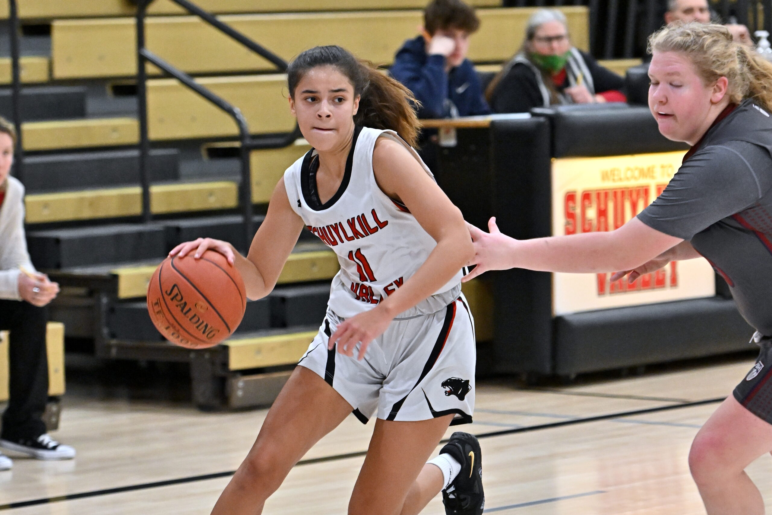 Schuylkill Valley’s Juliana Stichter is UECU girls basketball Player of the Week - Mike Drago Sports