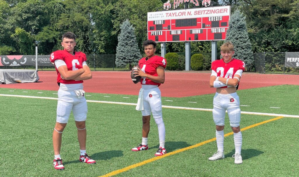 Season preview: Hamburg Hawks - Mike Drago Sports